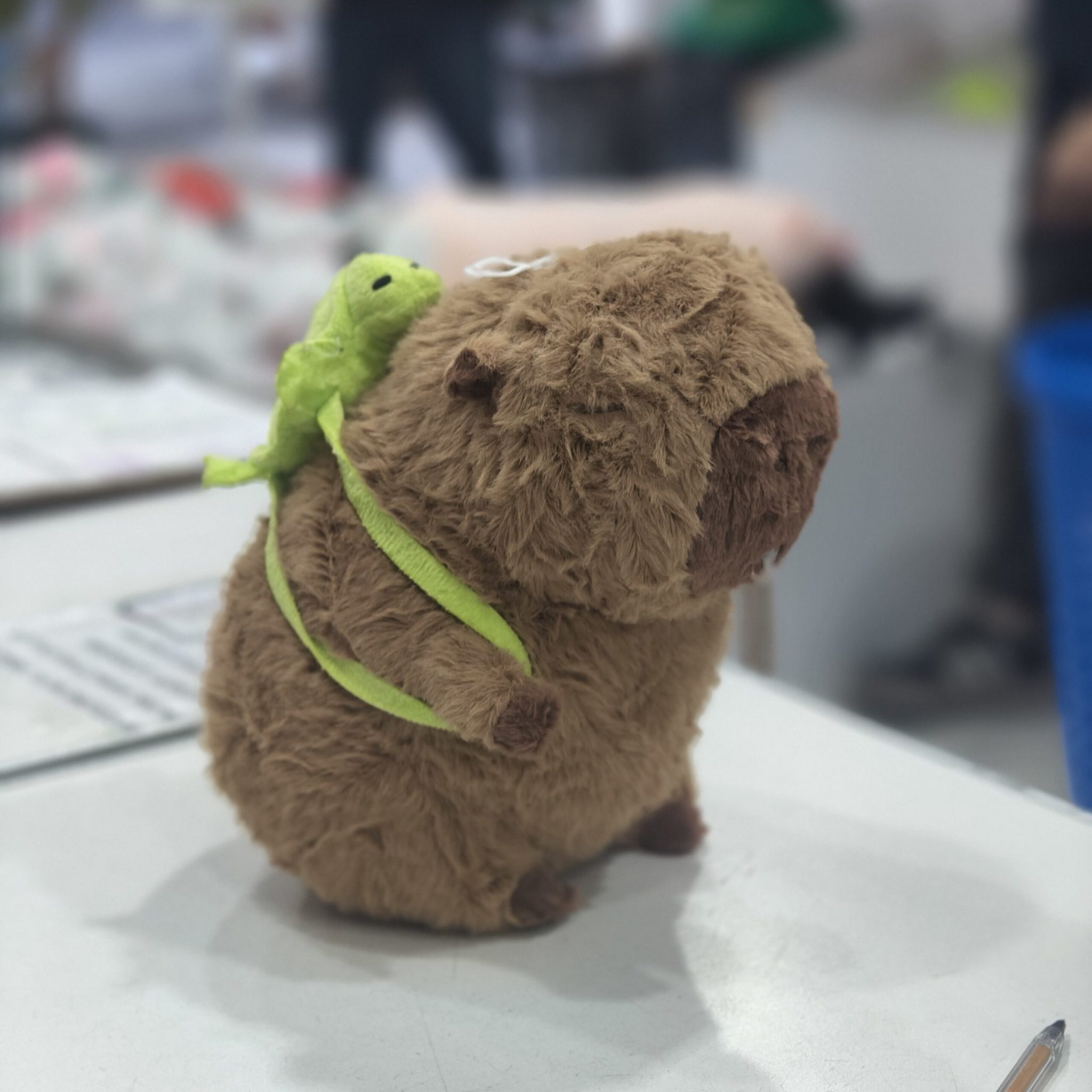 CAPIBARA – Paraiso Peluches