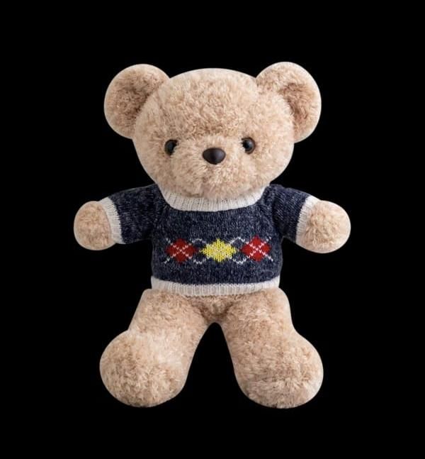 OSO TEDDY COLOR BEIGE 40 CM – Paraiso Peluches